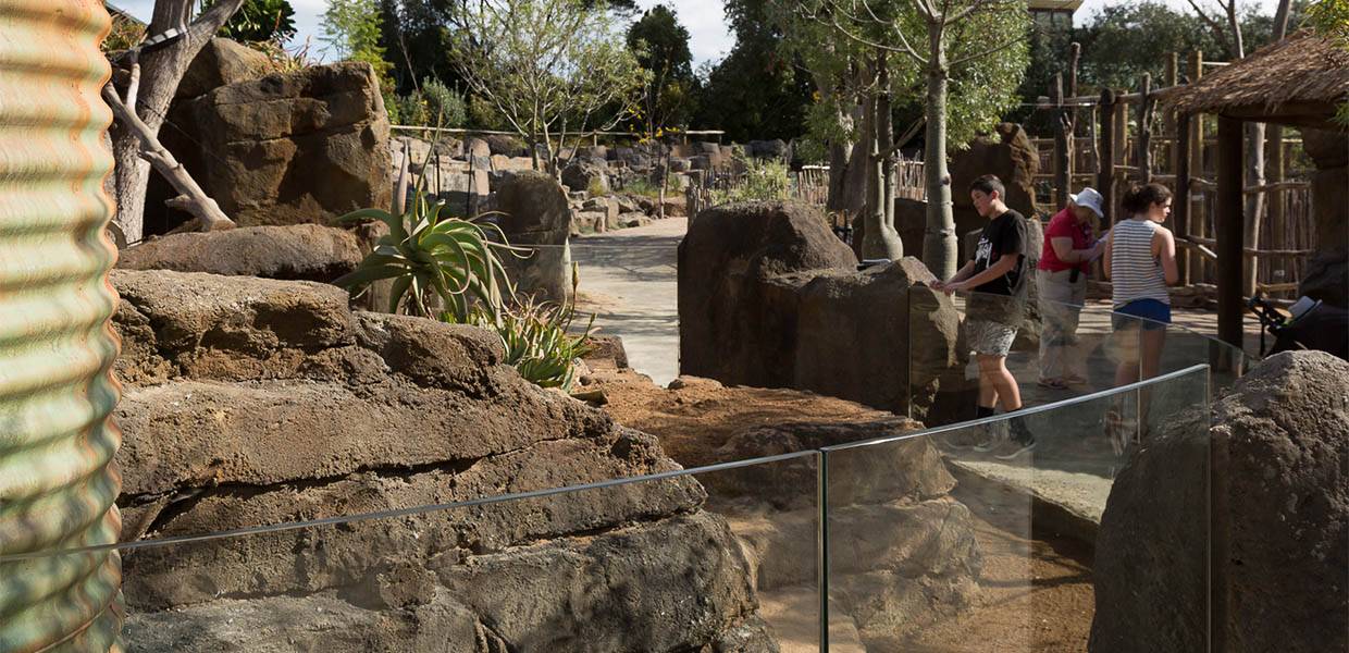 Auckland Zoo – Island Glass & Mirror